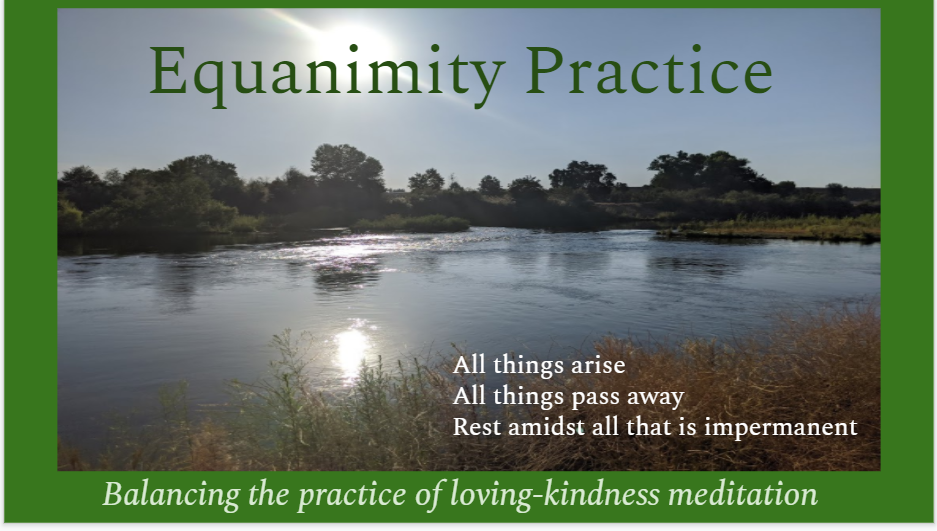 Equanimity Meditation Class | Elena Perez Licensed Acupuncturist